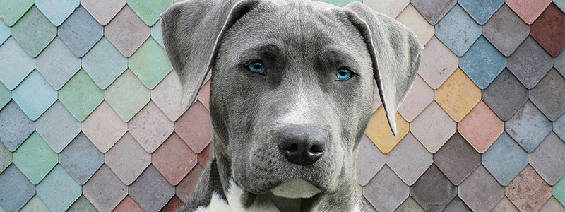 How to Save a Low Resolution File – Under The Moonlight