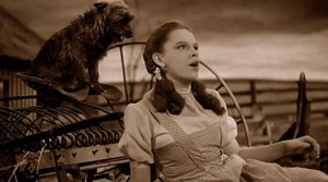 Sepia Tones in Photography – Under The Moonlight