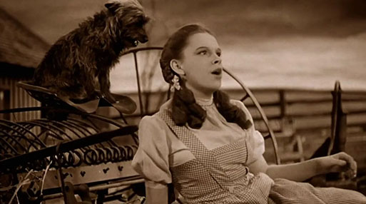 Sepia Tones in Photography – Under The Moonlight