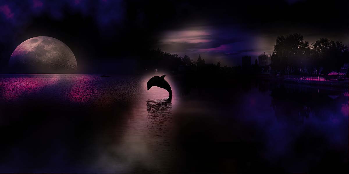 Spooky Movie Thrillers with Dolphins – Under The Moonlight
