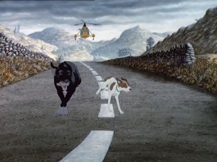 Thought-Provoking Animated Films about Animals – Under The Moonlight