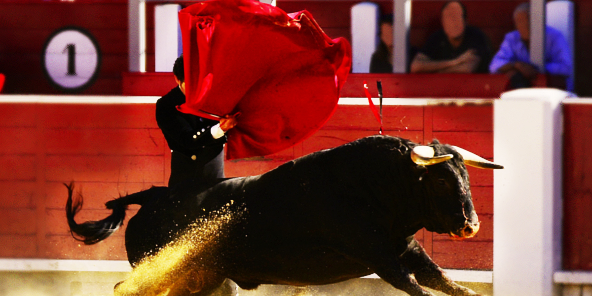 Why A Red Cape Means Nothing To The Bull In A Bullfight – Under The ...