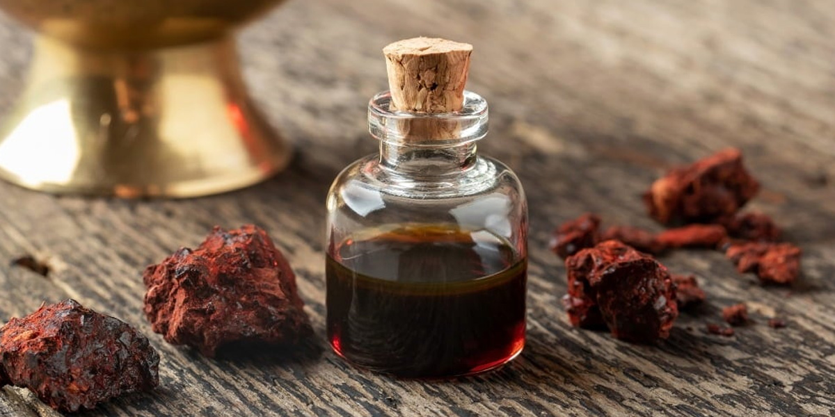 The Long History of Dragon’s Blood: From Antiquity to Science – Under ...
