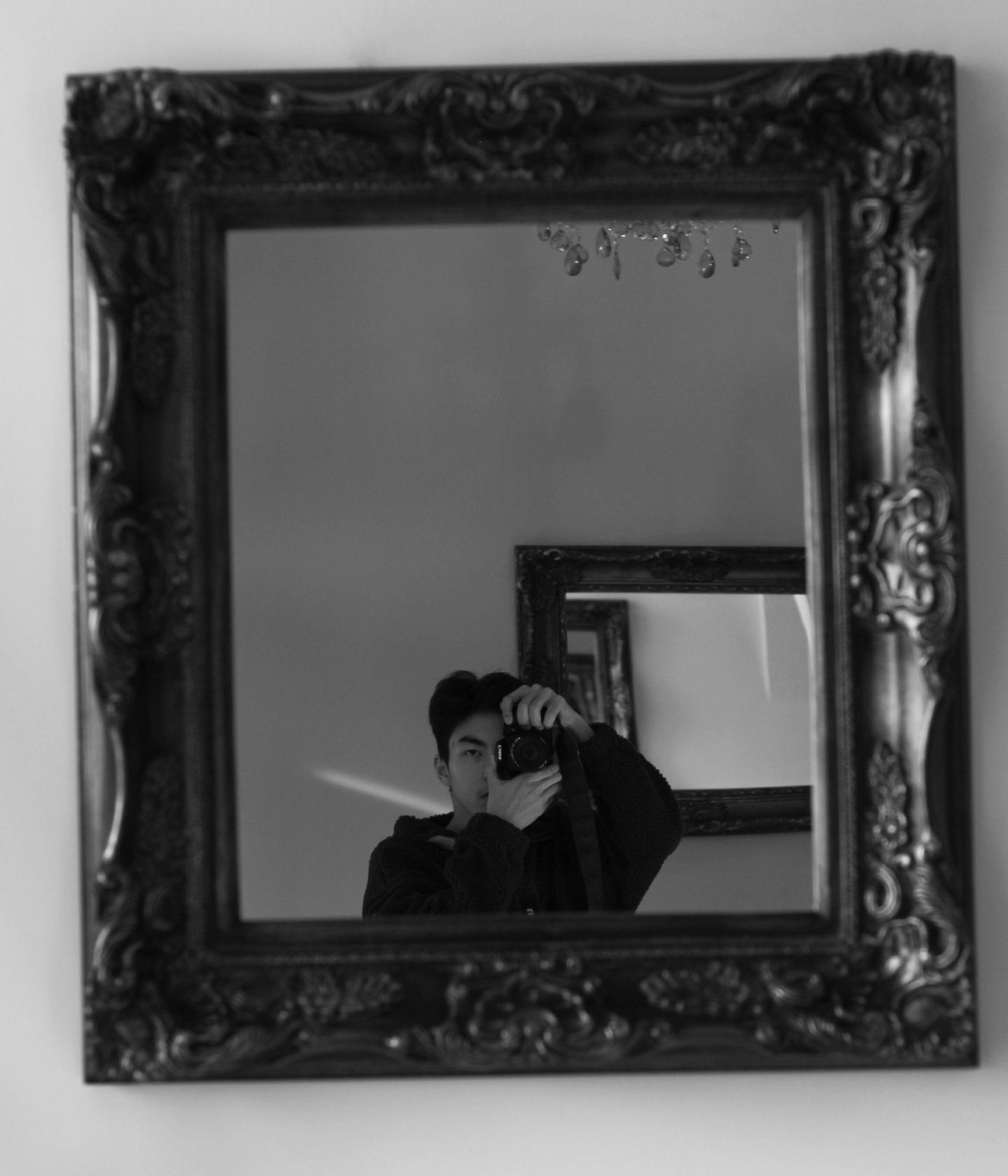 Why vampires should be afraid of mirrors and old-time cameras not ...